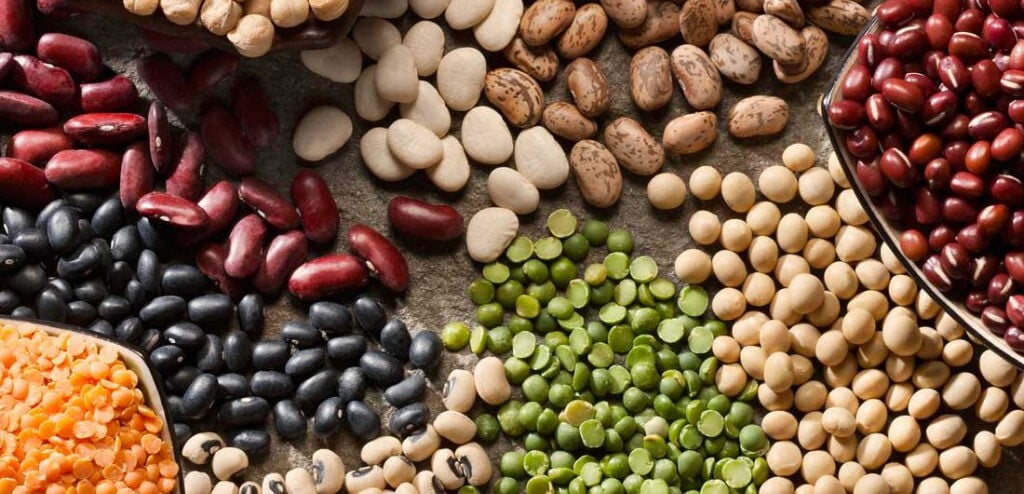 The Power of Pulses Exploring the Health Benefits and Culinary Uses of ...