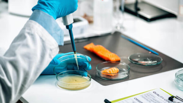Food Safety Regulations in UAE - Vida Food