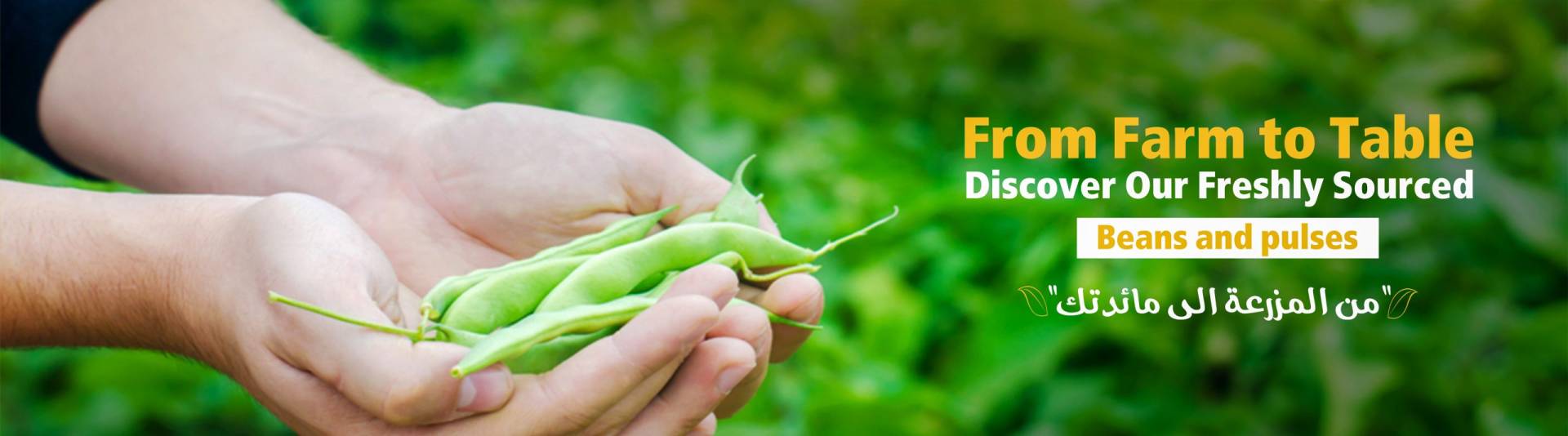 Home Page - Vida Food